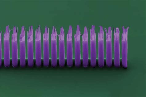 New Scientist On Linkedin Tiniest Particle Accelerator Is So Small It