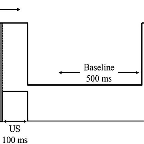 Timing Of Cs And Cs− Trial Types Two Hundred Trials Of Two