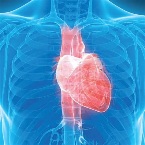 Proposed Heart Disease Prediction Model Using Xgboost Download