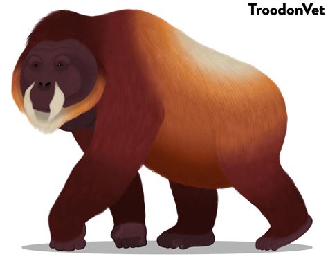 Indonesian Fauna Gigantopithecus Blacki Male By Troodonvet On Deviantart