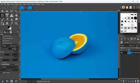 Exploring The Differences Between Fotor And Gimp