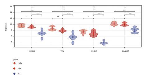 Further Analysis Of Hub Degs A Clusters From Mcode In Cytoscape B