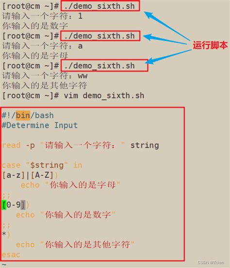 shell脚本之——条件语句if详解 shell if csdn博客