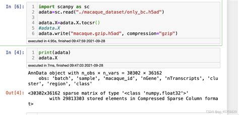 seurat singlecellexperiment anndata相互转化 rds数据转h5ad csdn博客