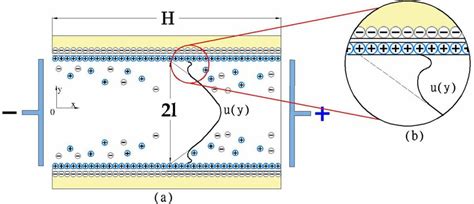 A Schematic Model Of The Electrokinetic Region Which Shows The Download Scientific Diagram
