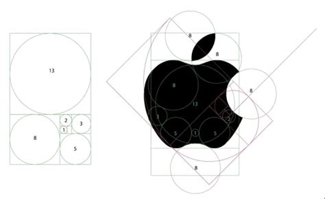 Fibonacci What Is The Fibonacci Sequence Flowers Pinecones Shells