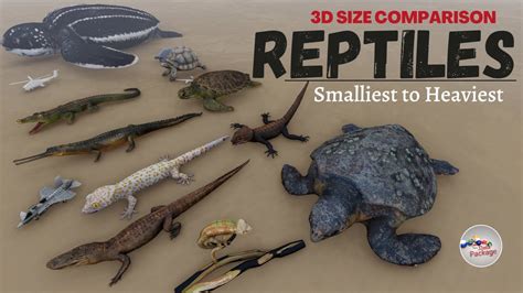 Quetzalcoatlus Size Comparison A Flying Reptile Whose