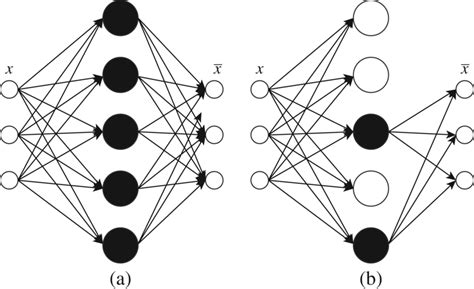 The Illustrations Of Winner‐take‐all Autoencoder A General Download Scientific Diagram