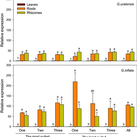 Validation Of The Recommended Reference Genes Expression Profiles Of Download Scientific