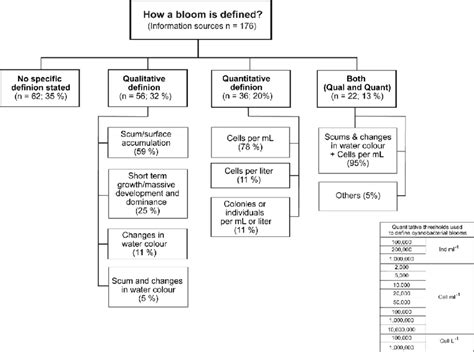 Flowchart Summarizing The Criteria Used To Determine And Quantify A