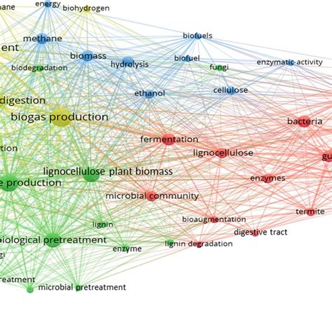 Keywords Co Occurrence Network Analysis Using Vosviewer Software