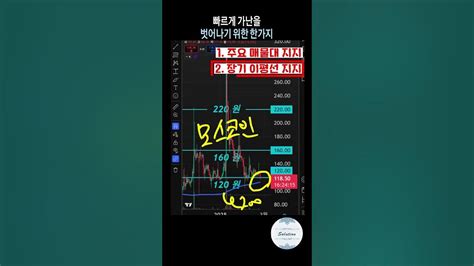 역사적 고점 찍는다 지금 사는 사람이 승자입니다 스텔라루멘 리플 도지코인 비트코인 알트코인 페페 온도파이낸스