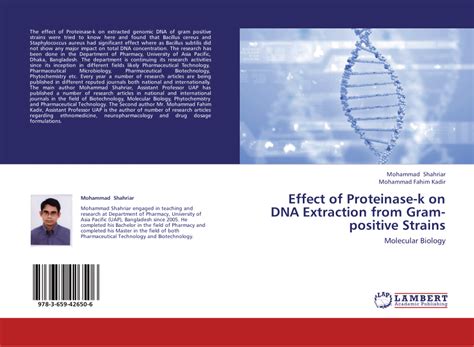 Pdf Effect Of Proteinase K On Dna Extraction From Gram Positive Strains
