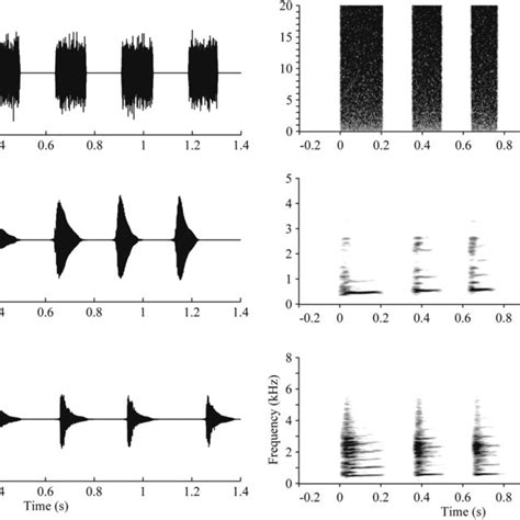 Waveforms And Spectrograms Of The Three Stimuli A White Noise B The
