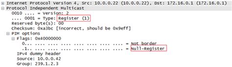 Multicast Understanding PIM SM Das Blinken Lichten