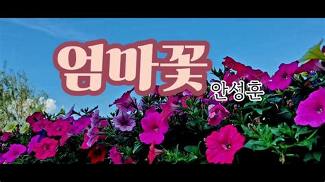 엄마 꽃 안성훈알토 색소폰 Youtube
