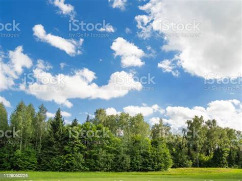 시골 분야 자연 배경입니다 푸른 잔디와 푸른 하늘 Cloudscape 화창한 날에 러시아 0명에 대한 스톡 사진 및 기타 이미지 Istock