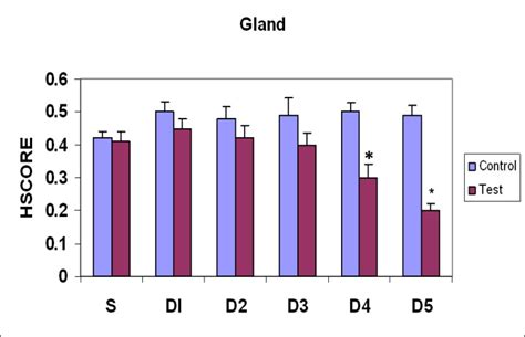 Comparison Of Galectin 3 Expression Pattern In Glandular Cells Of Mouse Download Scientific