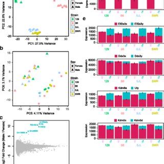 Sex Linked Gene Expression In The VNO A And B Principal Components Download Scientific Diagram