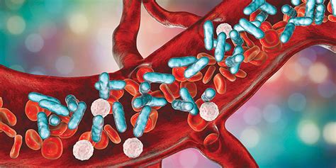 Biomaterial Vaccines Capturing Pathogen Associated Molecular Patterns