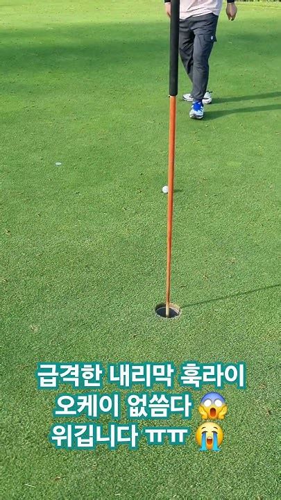 오케이 없씀다😭 골프레슨 아이언레슨 필드레슨 골프 골프존 퍼터 퍼팅 퍼터레슨 퍼팅레슨 비거리레슨 드로우샷 페이드샷 드라이버샷레슨