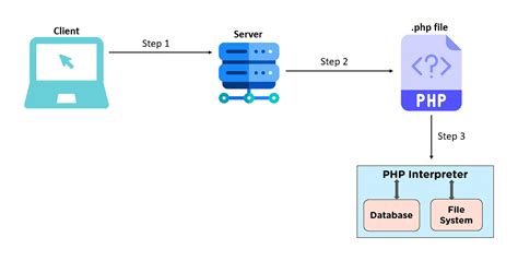 how programming languages used in web development mobigu