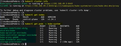 How To Install Minikube On Fedora Step By Step LinuxBuzz