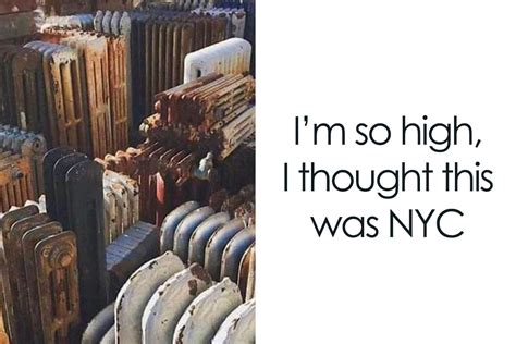 50 Random Memes That Have No Business Being So Funny | Bored Panda