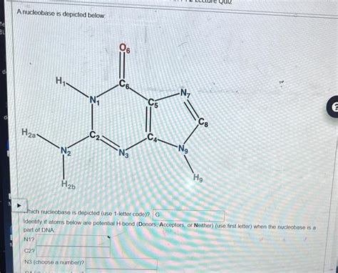 A Nucleobase Is Depicted Below Which Nucleobase Is