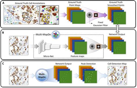 overview of the multi mapde method a preprocessing the dot
