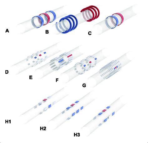 Electrode Array Geometries And Stimulation Patterns Used In Major Download Scientific Diagram