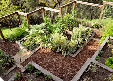 Планировка участка 15 соток — план дачного участка примеры фото