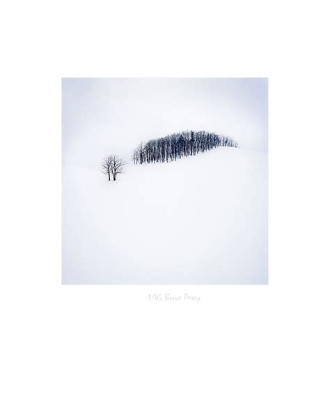 Yubetsu Tree And Copse Hokkaido — Half Light Press