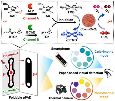 A Programmable Microfluidic Paper Based Analytical Device For