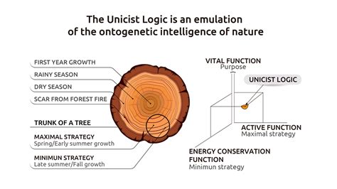 Unicist Ontogenetic Logic The Logical Approach To Adaptive Systems And