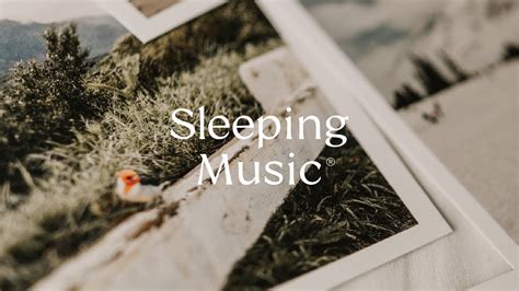 Playlist 모든 것은 추억이 된다 Youtube Music