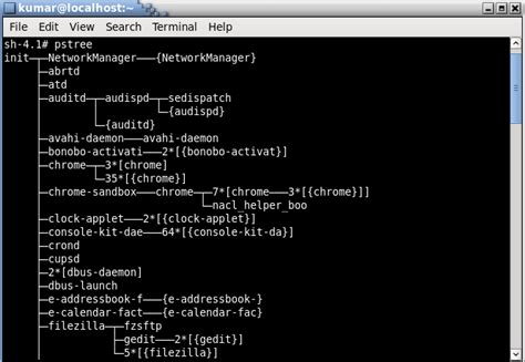 Linux Pstree Command Display Process Hierarchy Cmd Example