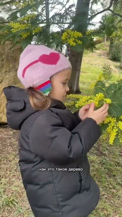 А вы видели такое дерево Youtube