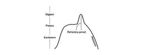 The Science Of Male Sexuality Cam Fraser