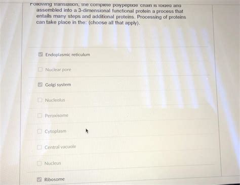 Solved Choose All Statements That Are True About Rna The