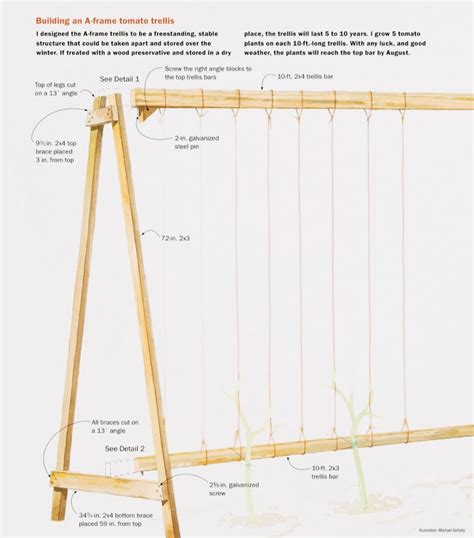 Diy Tomato Trellis For Your Vegetable Garden
