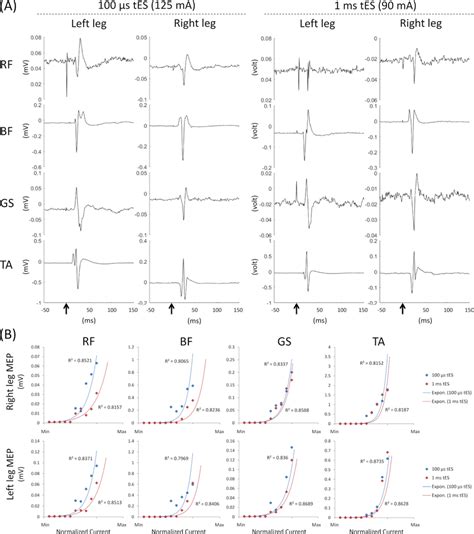 Transcutaneous Electrical Stimulation Tes At T11 And L1 Spinal Level Download Scientific