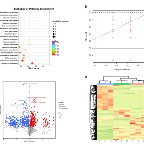 Differential Metabolite Results A Annotated Bubble Diagram Of