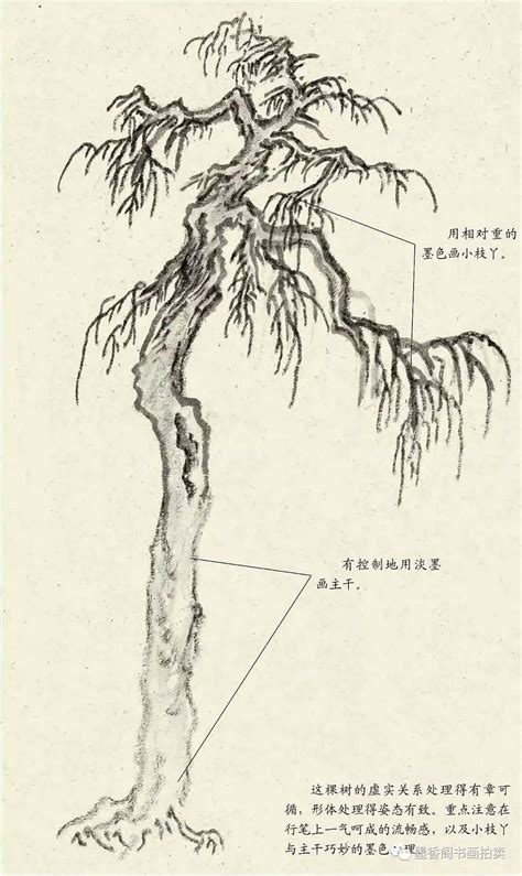 怎么画枯树简单 简笔画 星空 第8页 大山谷图库
