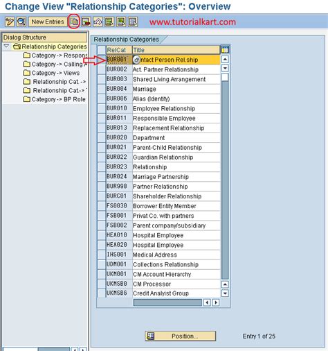SAP FSCM Define Relationship Categories In SAP