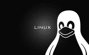 Linux Reaches End Of The Road Users Urged To Move To Linux TechWorm