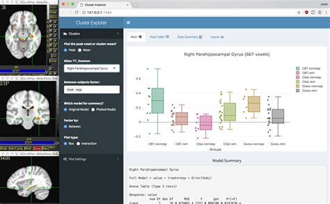 1291 Introducing Cluster Explorer — Afni Suma And Fatcat V25218