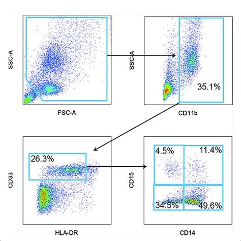 Representative Flow Cytometry Gating Strategy For Mdsc Peripheral