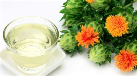 Aspir Bitkisi Nedir Aspir Yağı Ve Faydaları Hekimzade Blog