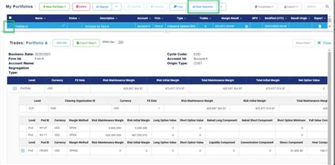 Cme Span 2 Coming To A Margin Report Near You Krm22